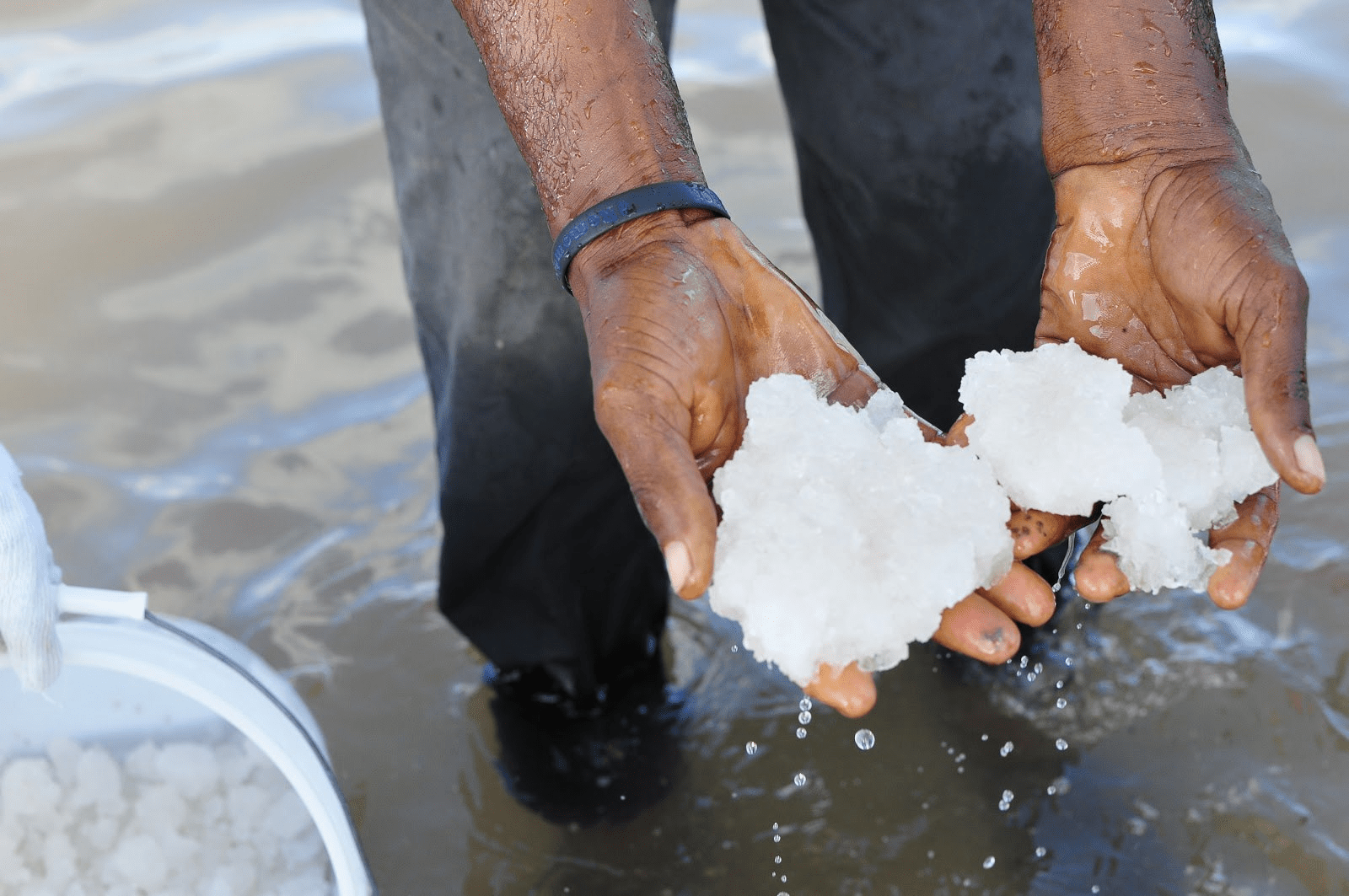 What is Salt-Picking? - Quintessence Hotel